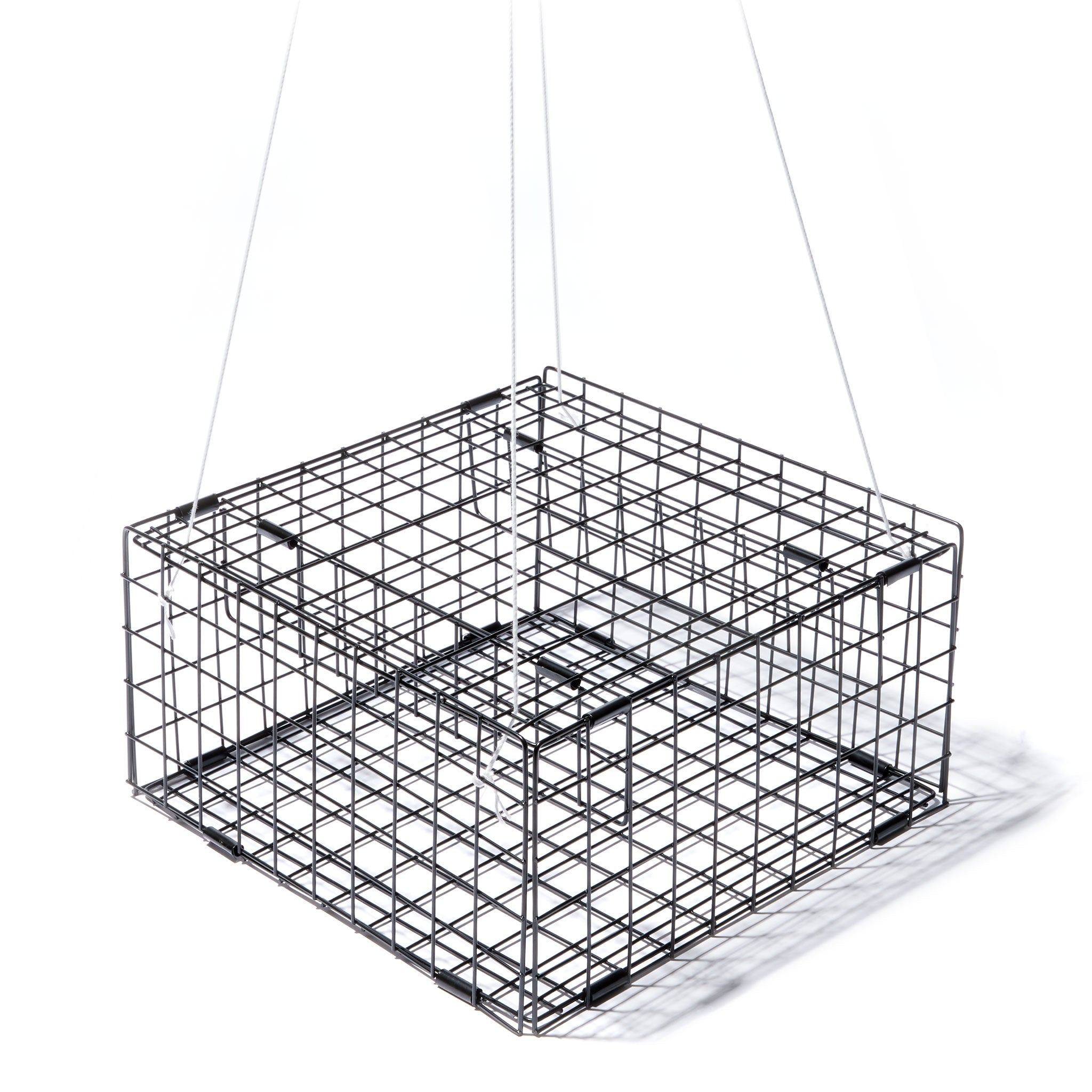 Traps and Dip Nets - KB White