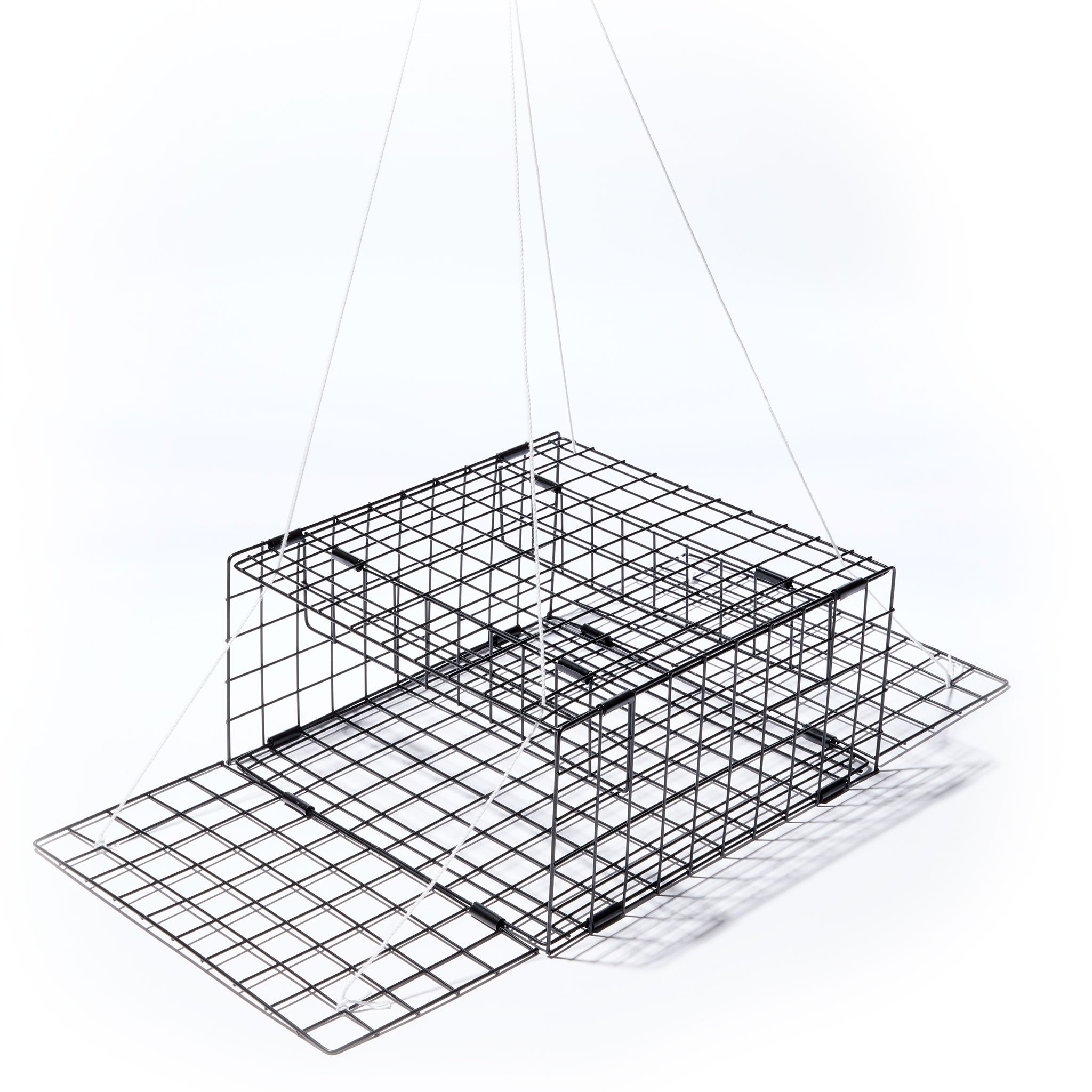 Traps and Dip Nets - KB White